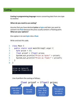 CIS 1403 Lab 2- Data Types and Variables | PDF