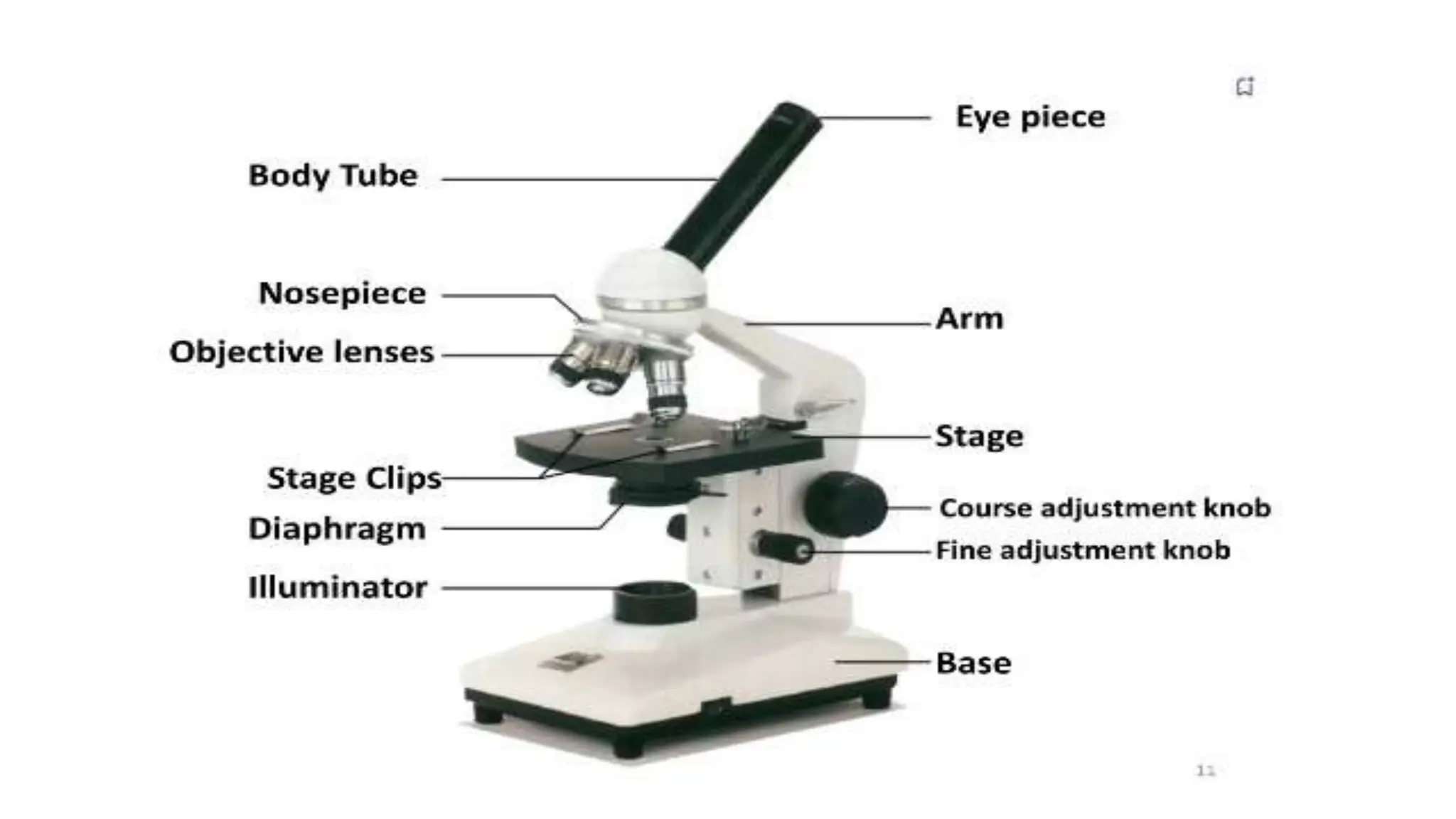 GBSN - Microbiology (Lab 2) Compound Microscope | PPT