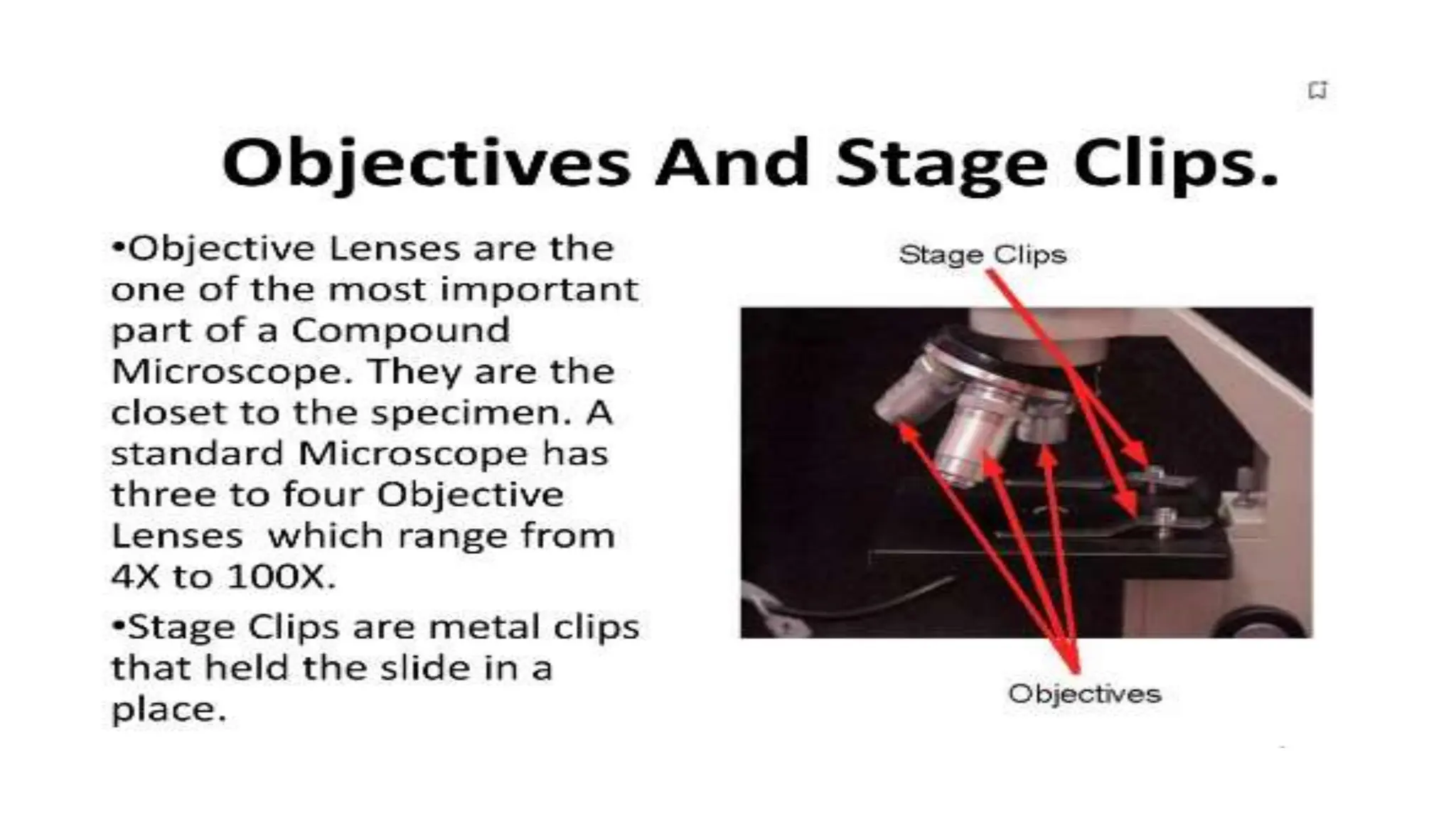 GBSN - Microbiology (Lab 2) Compound Microscope | PPT