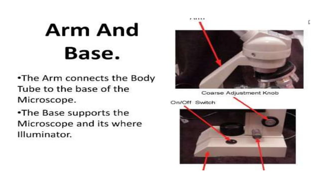 GBSN - Microbiology (Lab 2) Compound Microscope | PPT