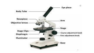 DPT - Microbiology - II (Compound Microscope) | PPTX