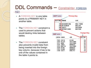 Lab2 ddl commands | PPTX