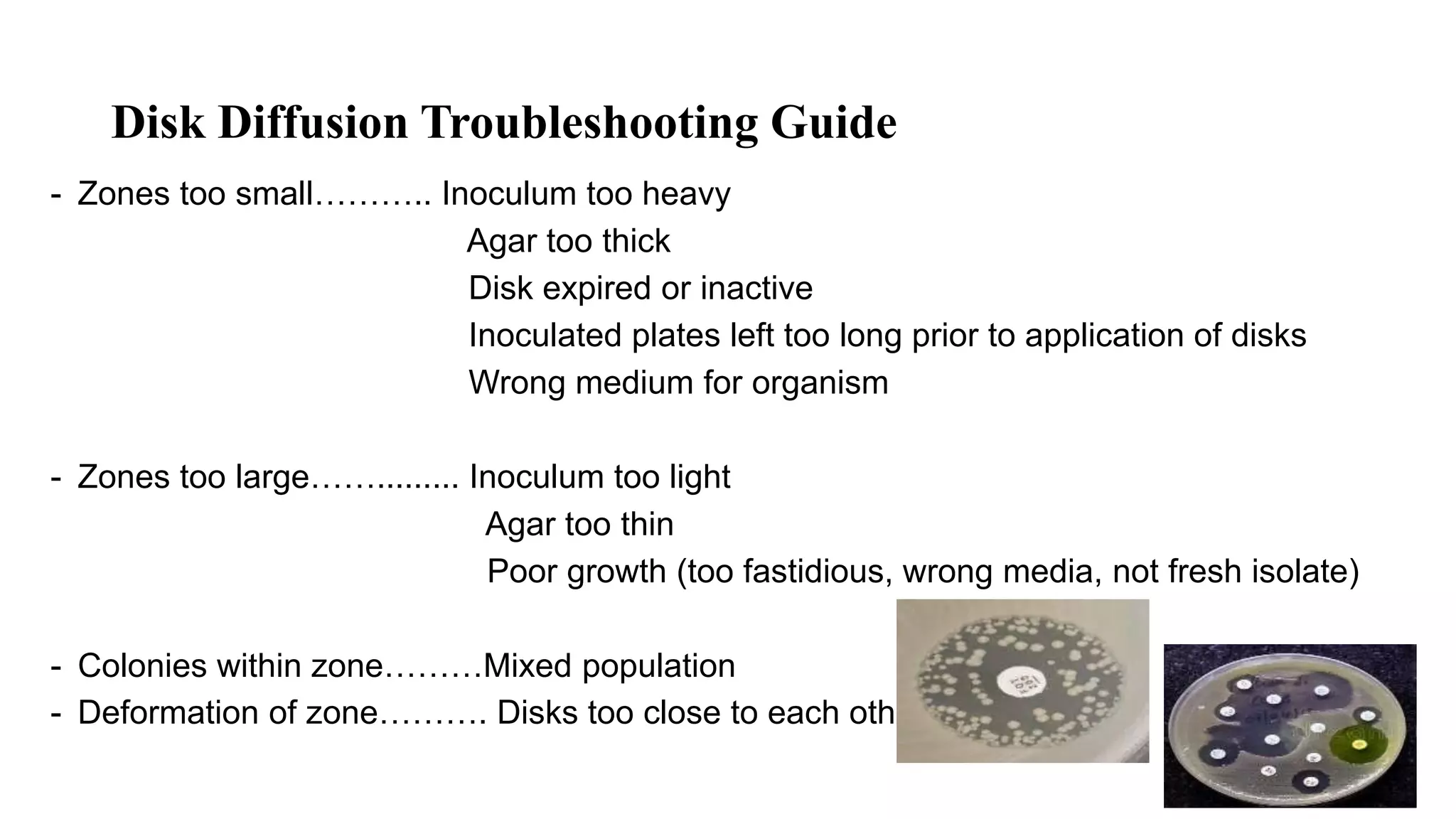 Lab 2 disk diffusion testing | PPTX
