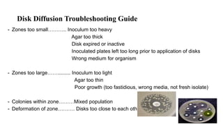 Lab 2 disk diffusion testing | PPTX