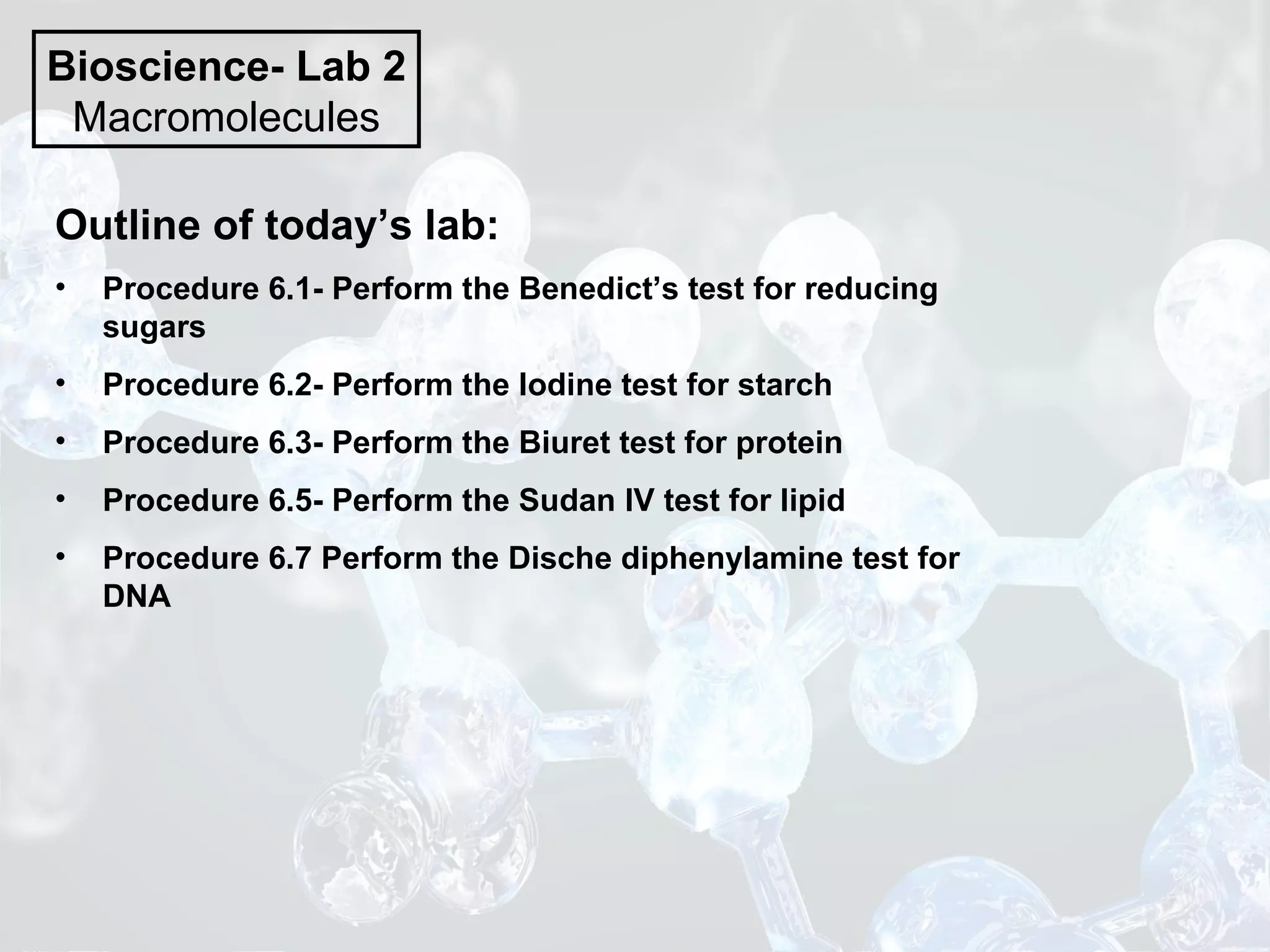 Lab 2 powerpoint | PPT