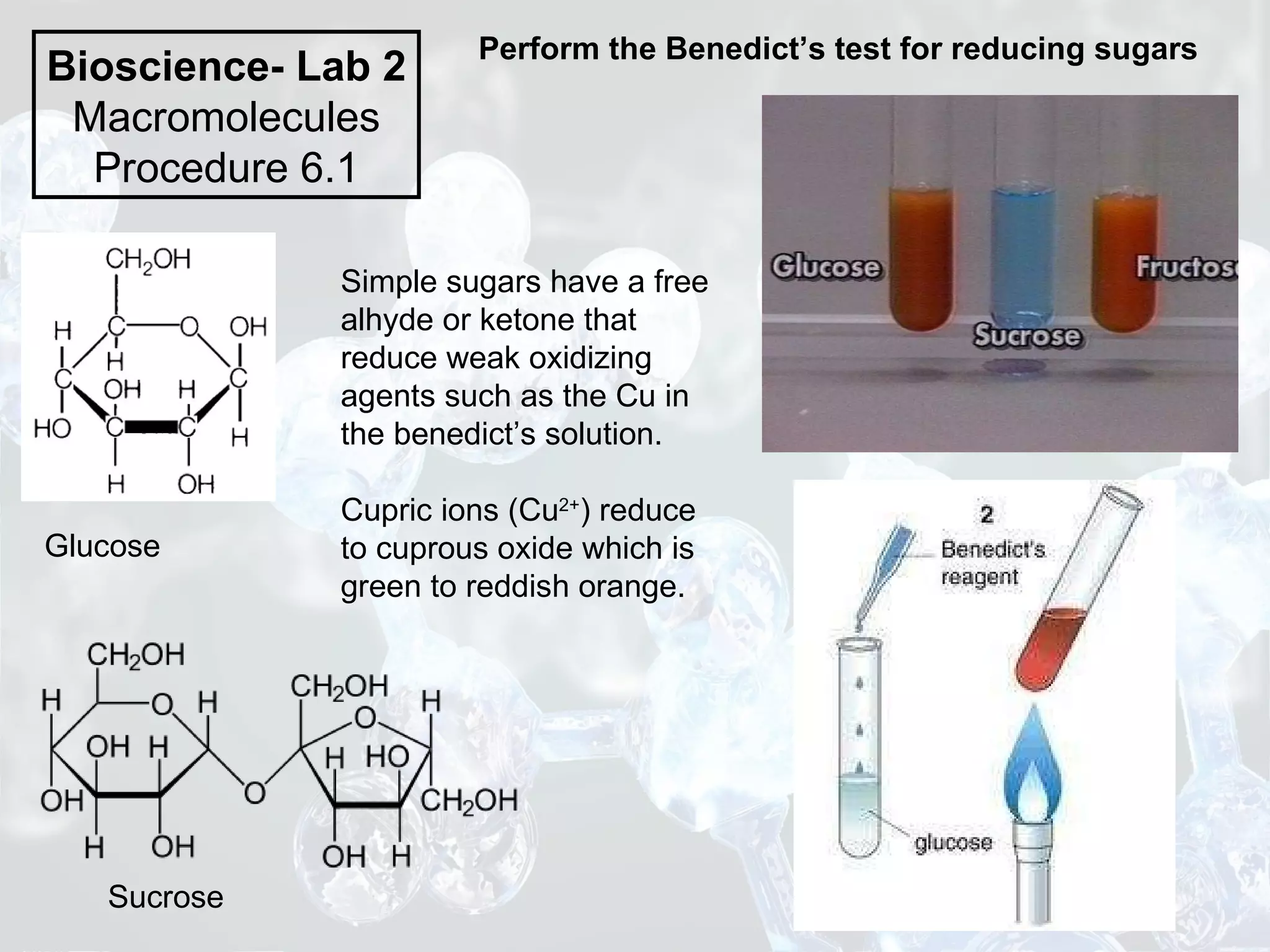 Lab 2 powerpoint | PPT