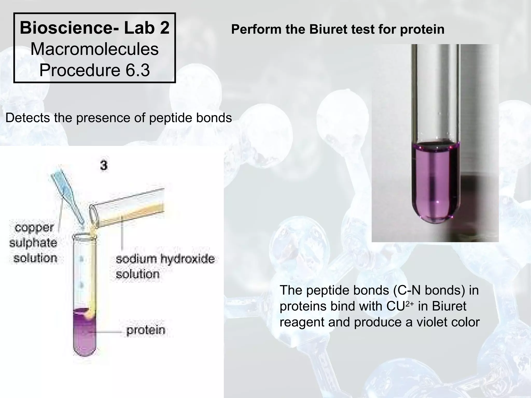 Lab 2 powerpoint | PPT