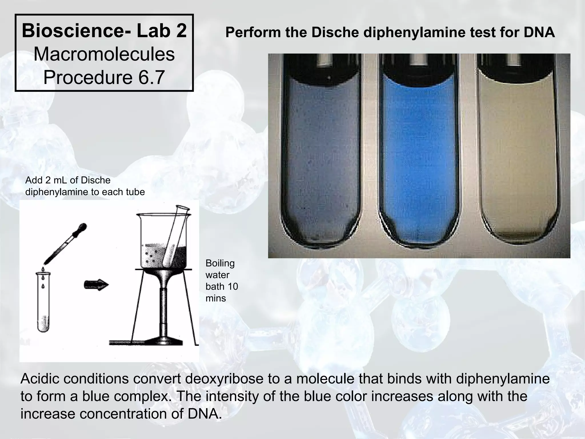 Lab 2 powerpoint | PPT