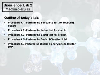 Lab 2 powerpoint | PPT