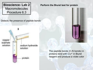 Lab 2 powerpoint | PPT