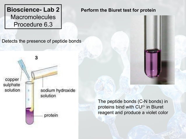 Lab 2 powerpoint | PPT