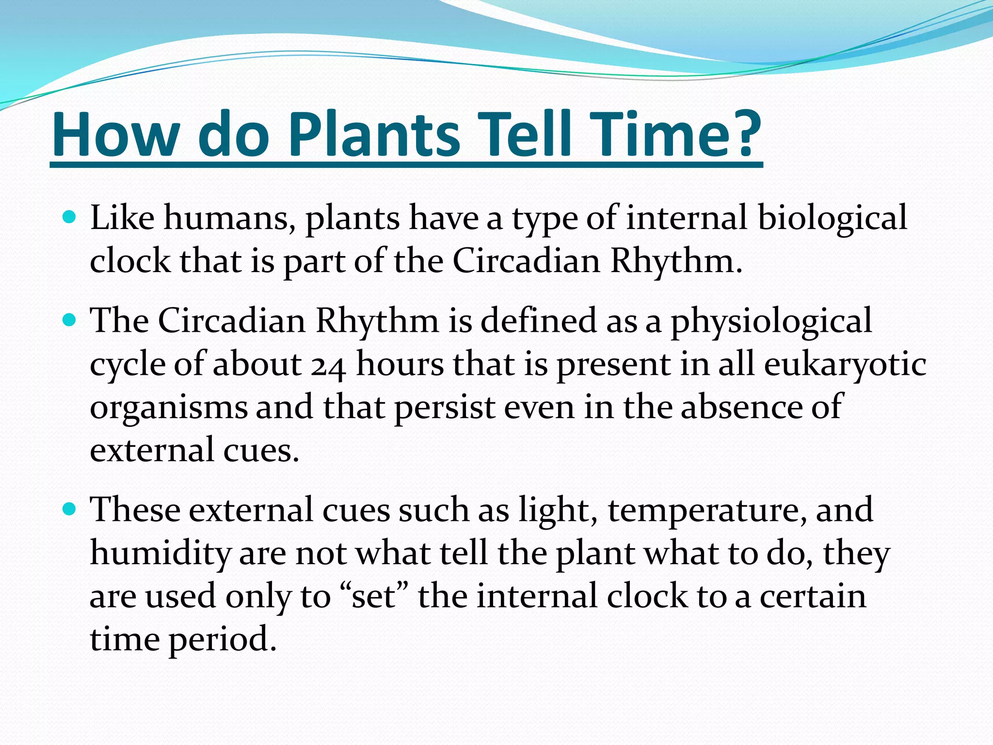 Lab2powerpoint (1) | PPTX