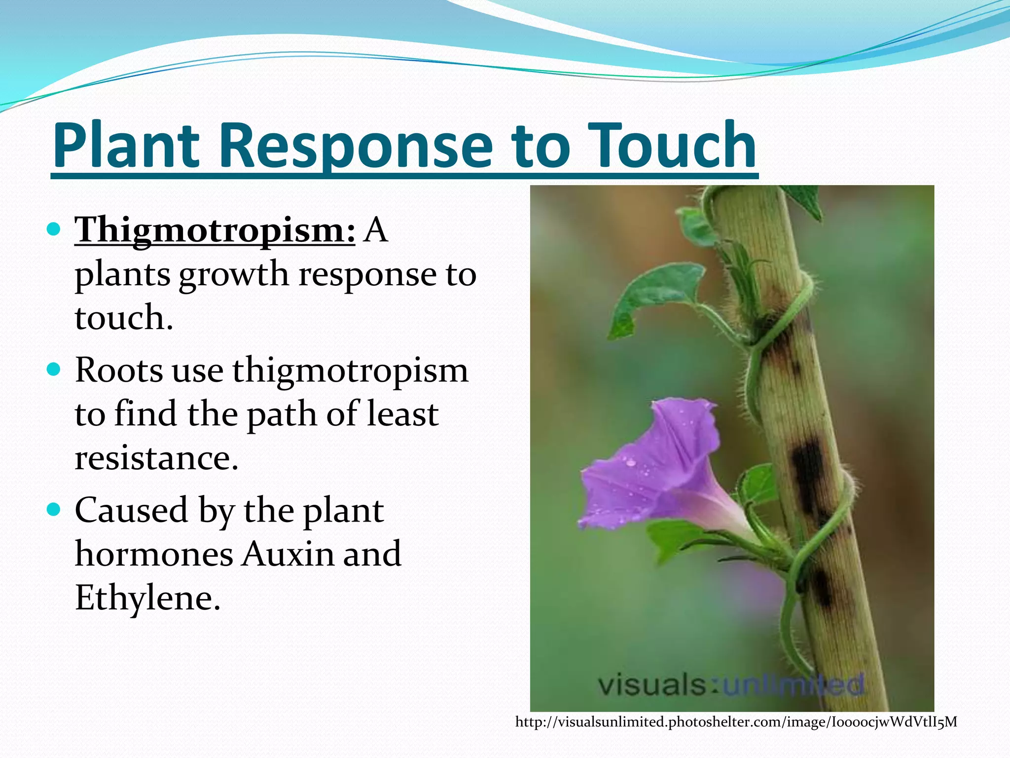 Lab2powerpoint (1) | PPTX