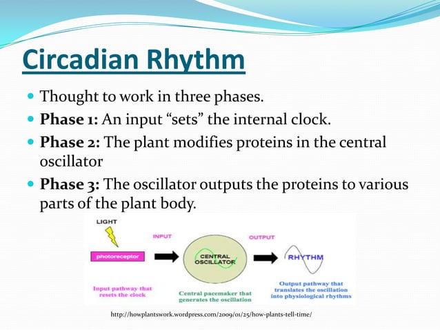 Lab2powerpoint (1) | PPT