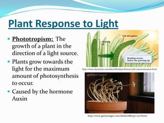 Lab2powerpoint (1) | PPTX