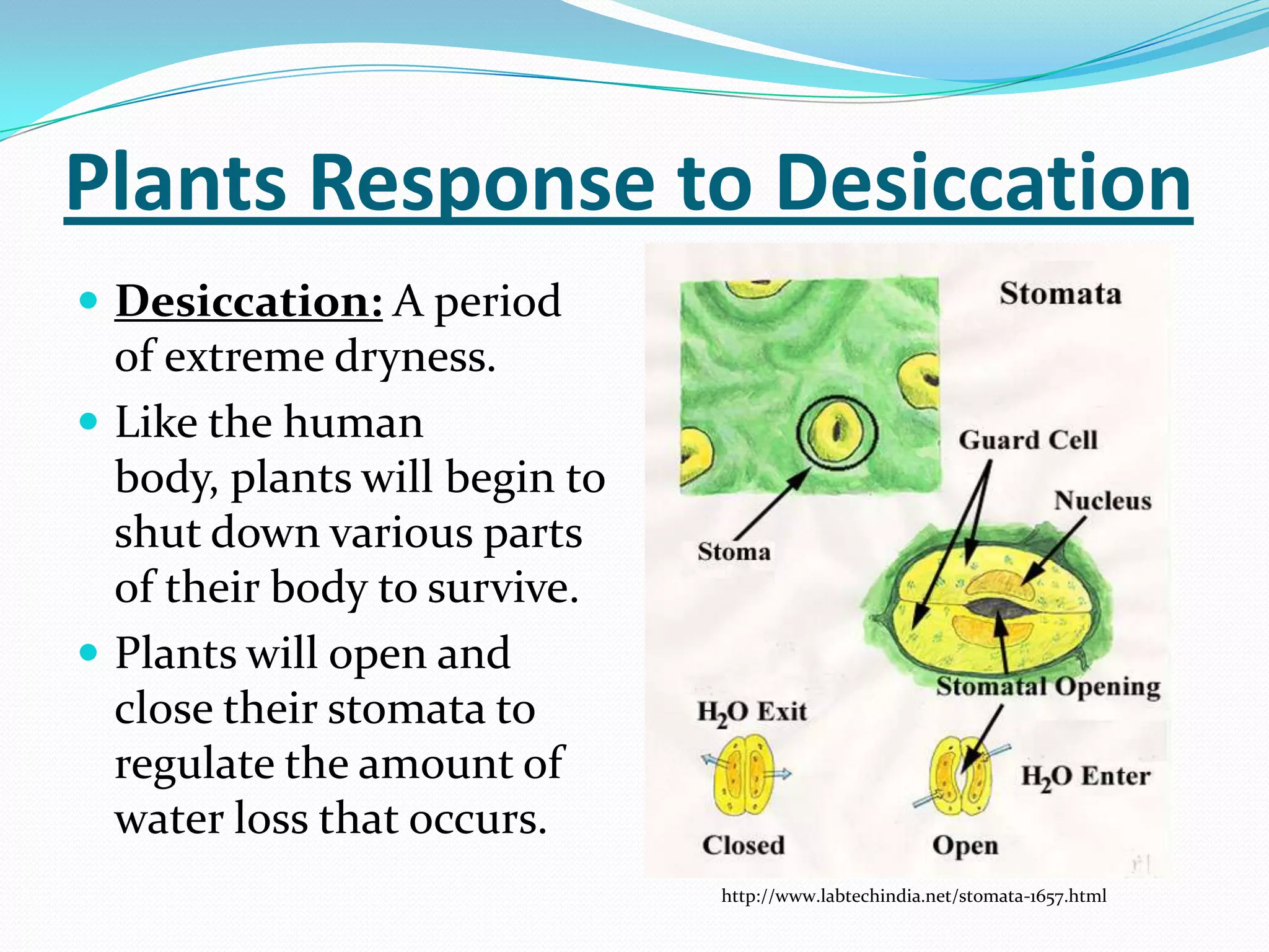 Lab2powerpoint (1) | PPT
