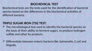 Triple Sugar Iron Biochemical Tests.pptx