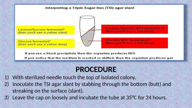 Triple Sugar Iron Biochemical Tests.pptx