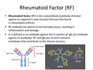 Lab 2 rapid and direct serological test.pptx