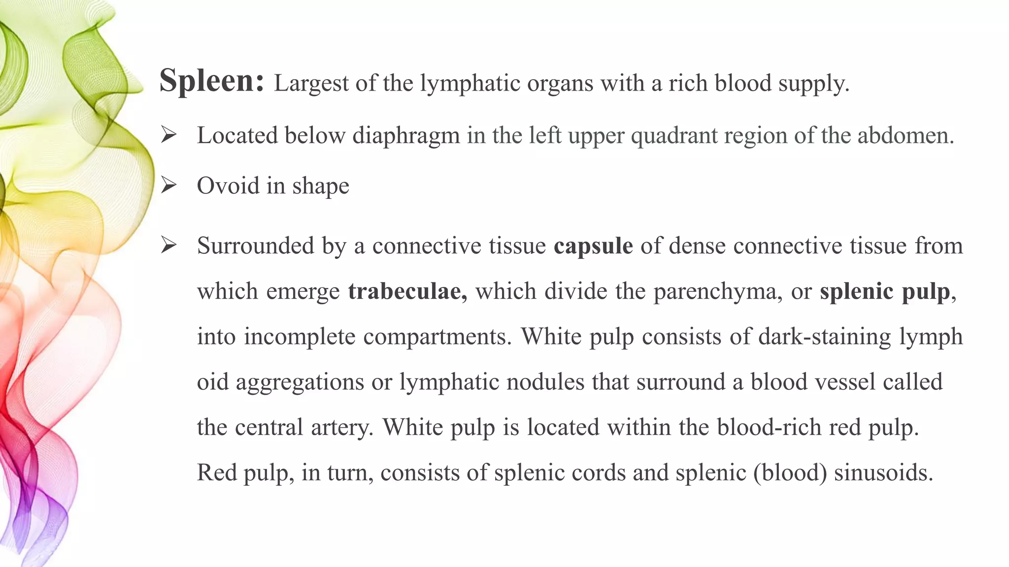 Lab 2 The Lymphatic system.pdf