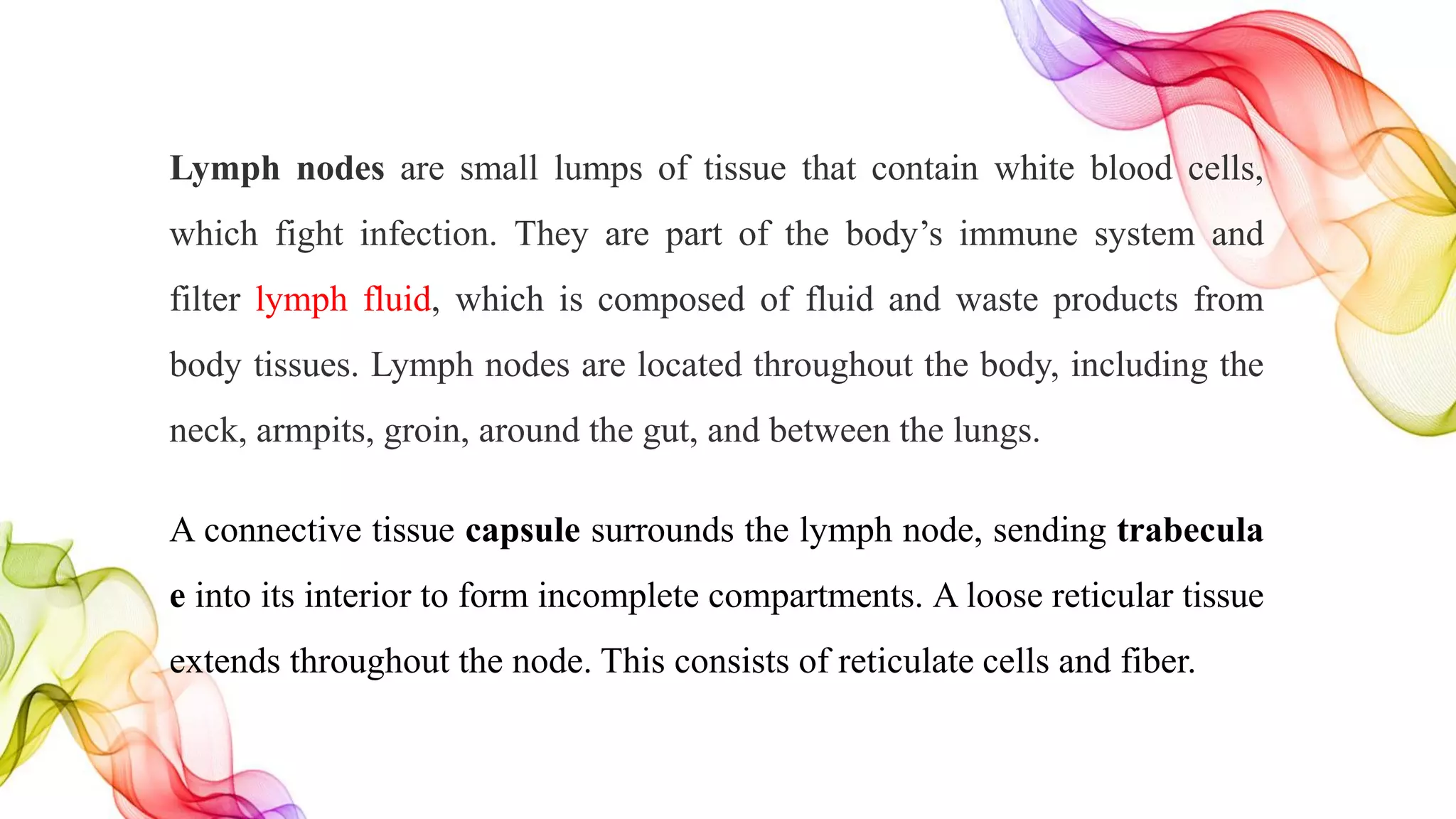 Lab 2 The Lymphatic system.pdf