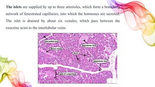 Lab 2 The Lymphatic system.pdf