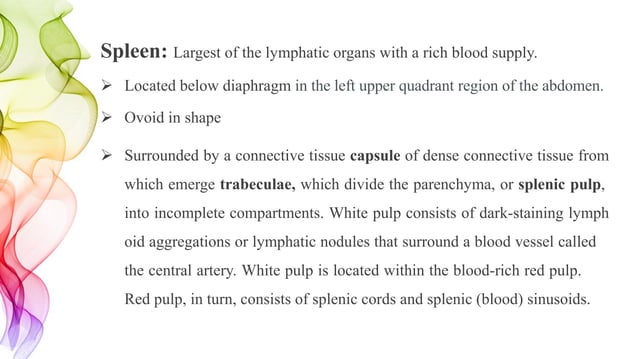 Lab 2 The Lymphatic system.pdf