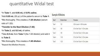 The Widal Test is an agglutination test used to detect serum ...