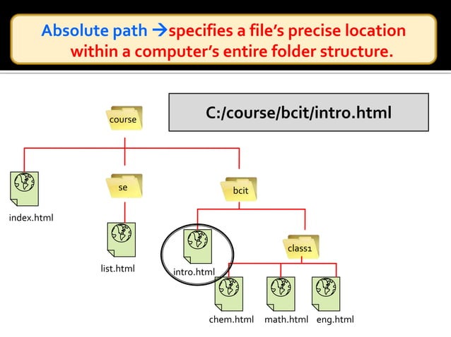 Links in Html | PPTX