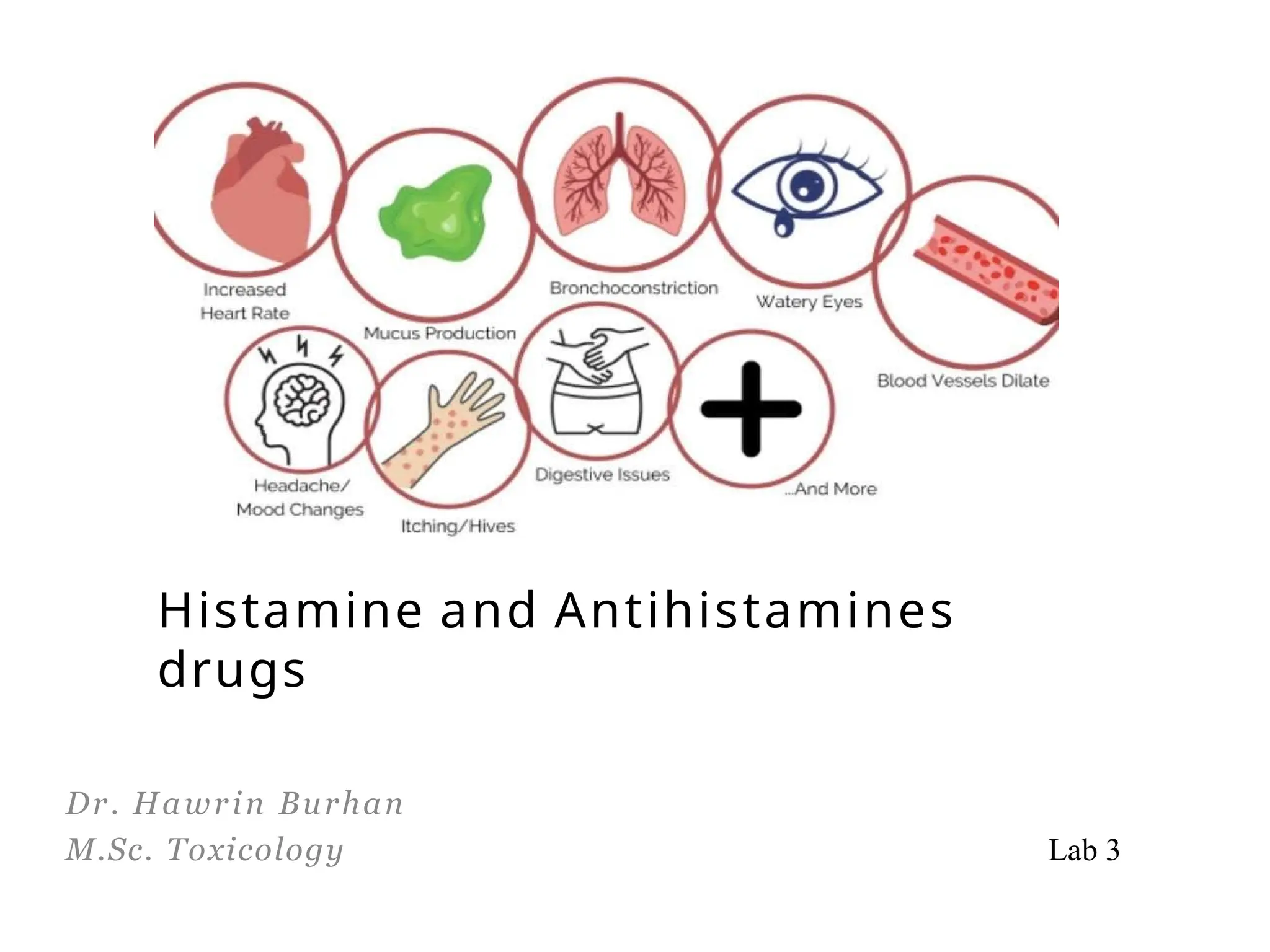 Lab three. Antihistamine drugs .powerptx | PPTX