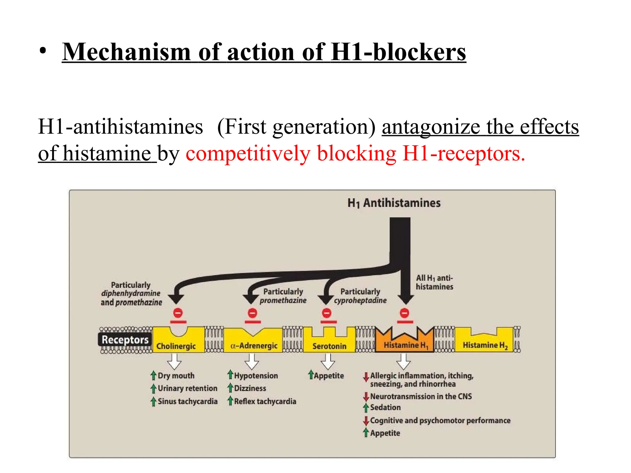 Lab three. Antihistamine drugs .powerptx | PPTX