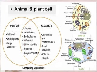 (cell structure) medical biology | PDF