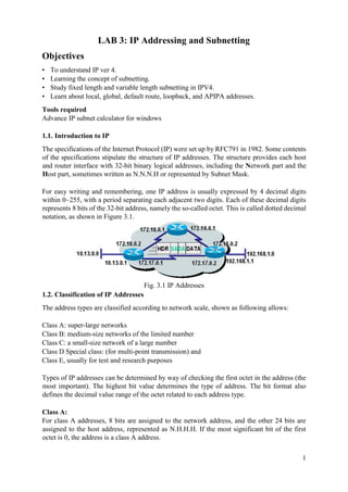 -LAB 3-IP Addressing and Subnettinncgbg.pdf