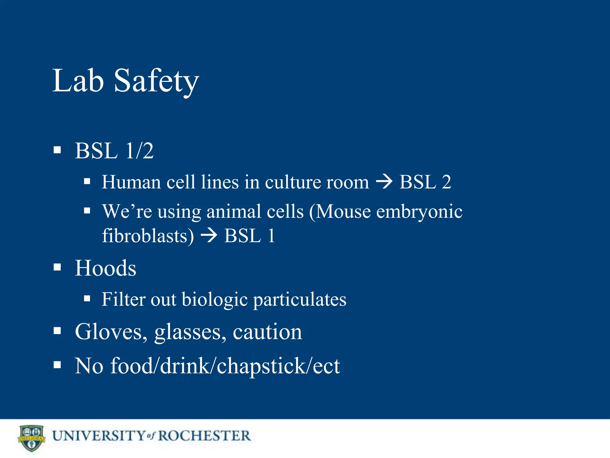 Cell culture and cell biomaterials interaction.ppt