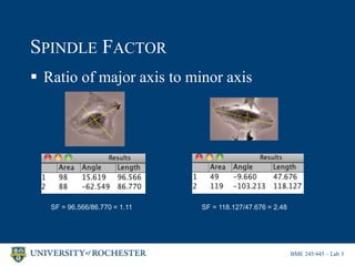 Cell culture and cell biomaterials interaction.ppt