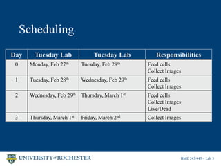 Cell culture and cell biomaterials interaction.ppt