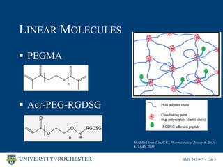Cell culture and cell biomaterials interaction.ppt