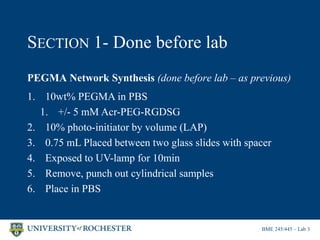 Cell culture and cell biomaterials interaction.ppt