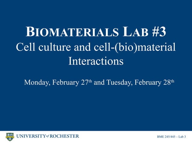 Lab3-Lecture to culture cell in vitr.ppt