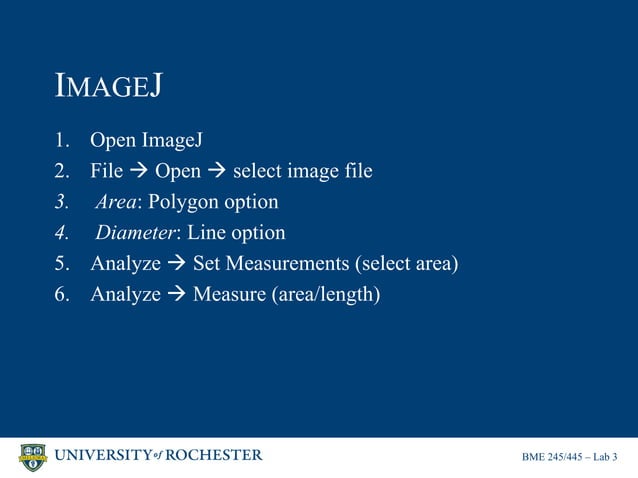 Lab3-Lecture to culture cell in vitr.ppt