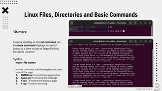 Lab 3 -Linux Files, Directories and Basic Commands.pptx | Operating ...