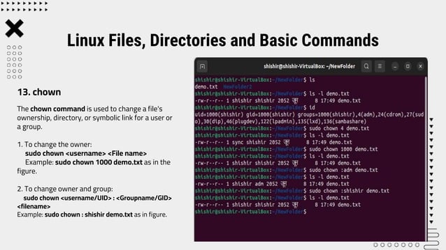 Lab 3 -Linux Files, Directories and Basic Commands.pptx | Operating ...