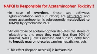 Lab 3 - Paracetamol Poisoning & Treatment | PPT