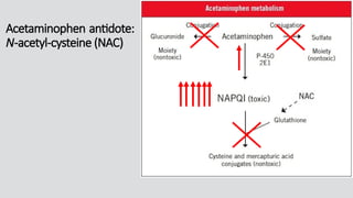 Lab 3 - Paracetamol Poisoning & Treatment | PPT