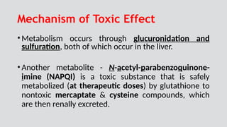 Lab 3 - Paracetamol Poisoning & Treatment | PPT