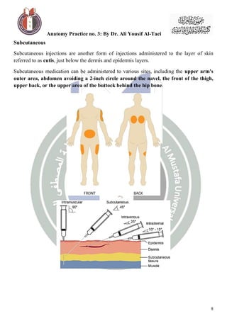Hints on human muscular system | PDF