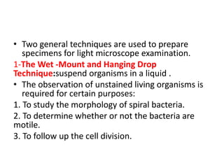 Lab 3-Staining 1.pptx
