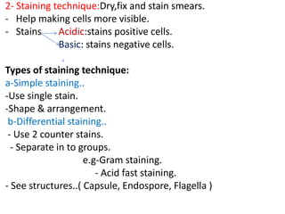 Lab 3-Staining 1.pptx