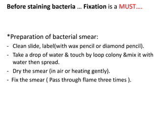 Lab 3-Staining 1.pptx