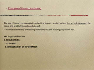 lab_3_0.ppt. . | PPT